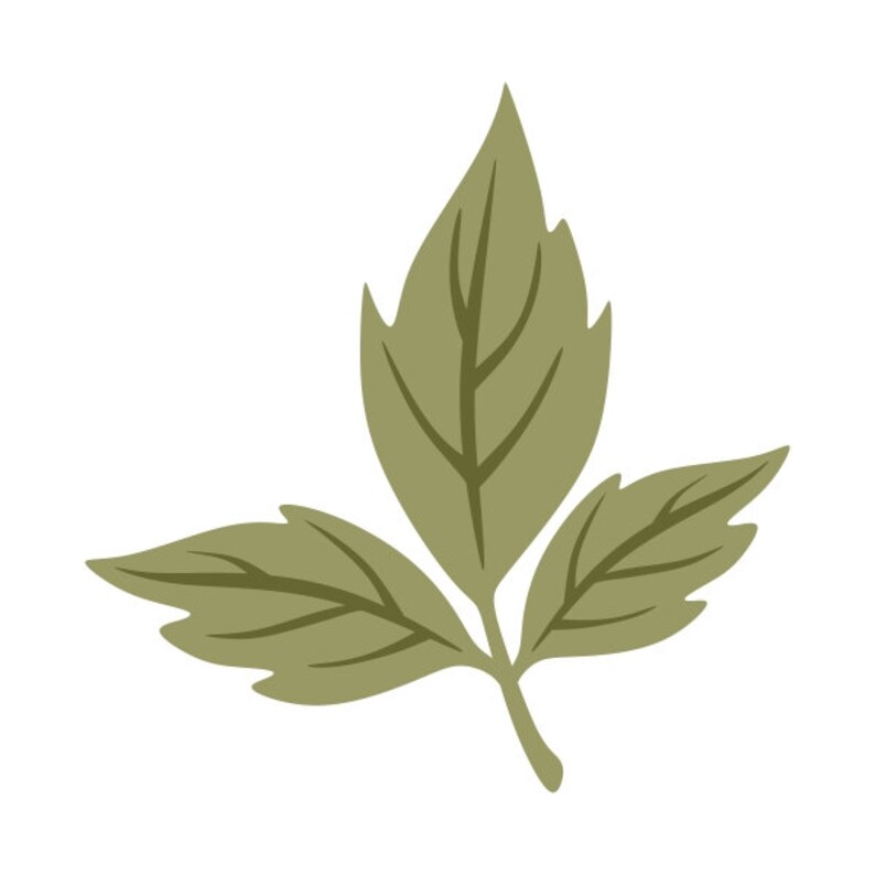 Autumn Leaves Pack Cuttable Design PNG DXF SVG & Eps File for | Etsy