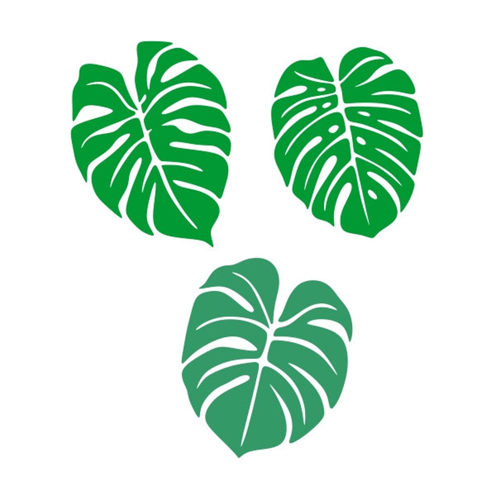 Monstera Leaves Cuttable Design PNG DXF SVG & eps File for | Etsy