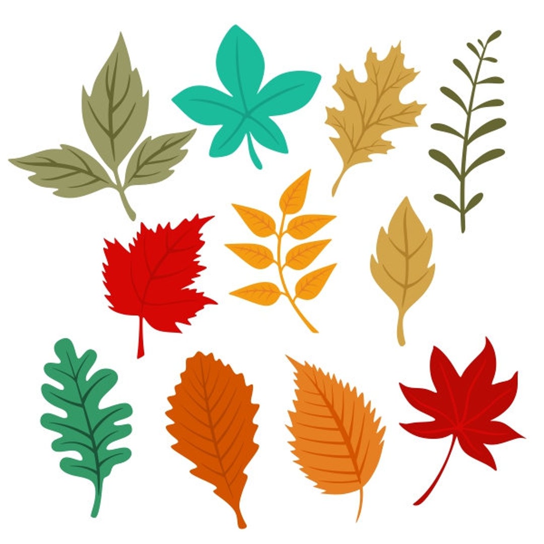 Autumn Leaves Pack Cuttable Design PNG DXF SVG & Eps File for ...