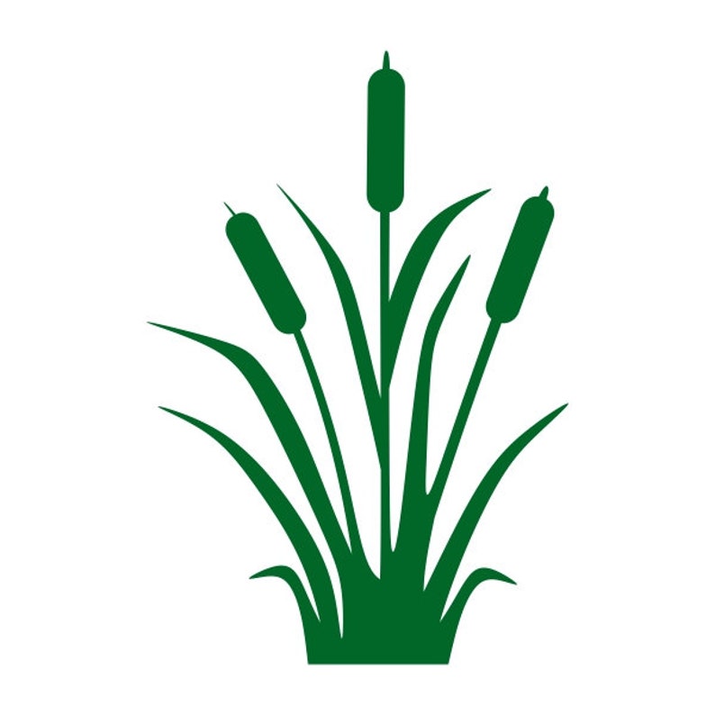 Cattail Flower Cuttable Design PNG DXF SVG & Eps File for - Etsy