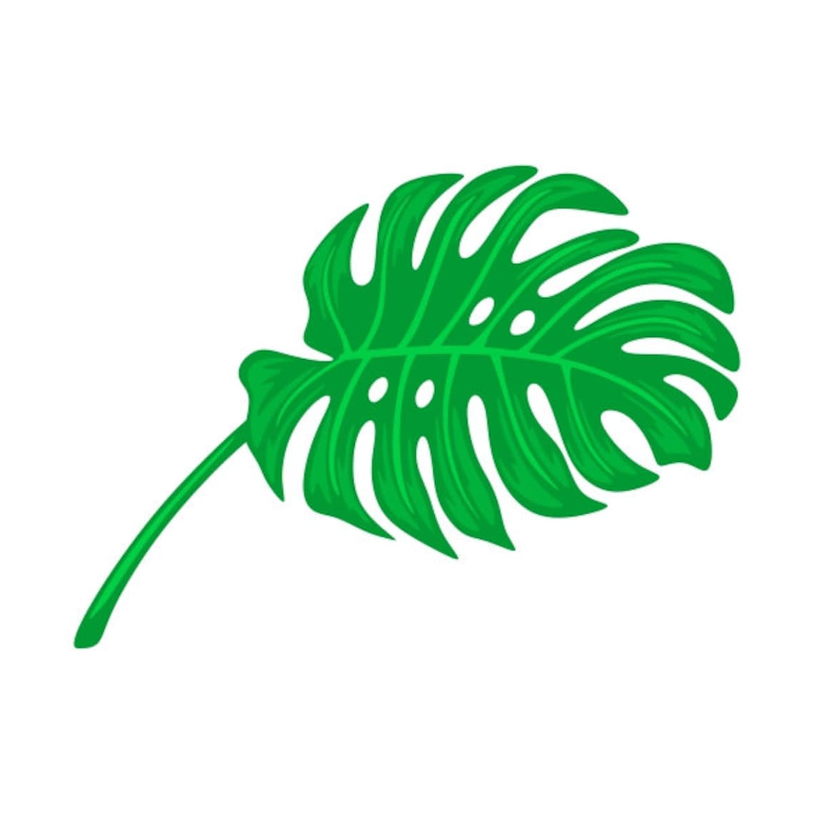 Monstera Leaves Cuttable Design PNG DXF SVG & eps File for | Etsy