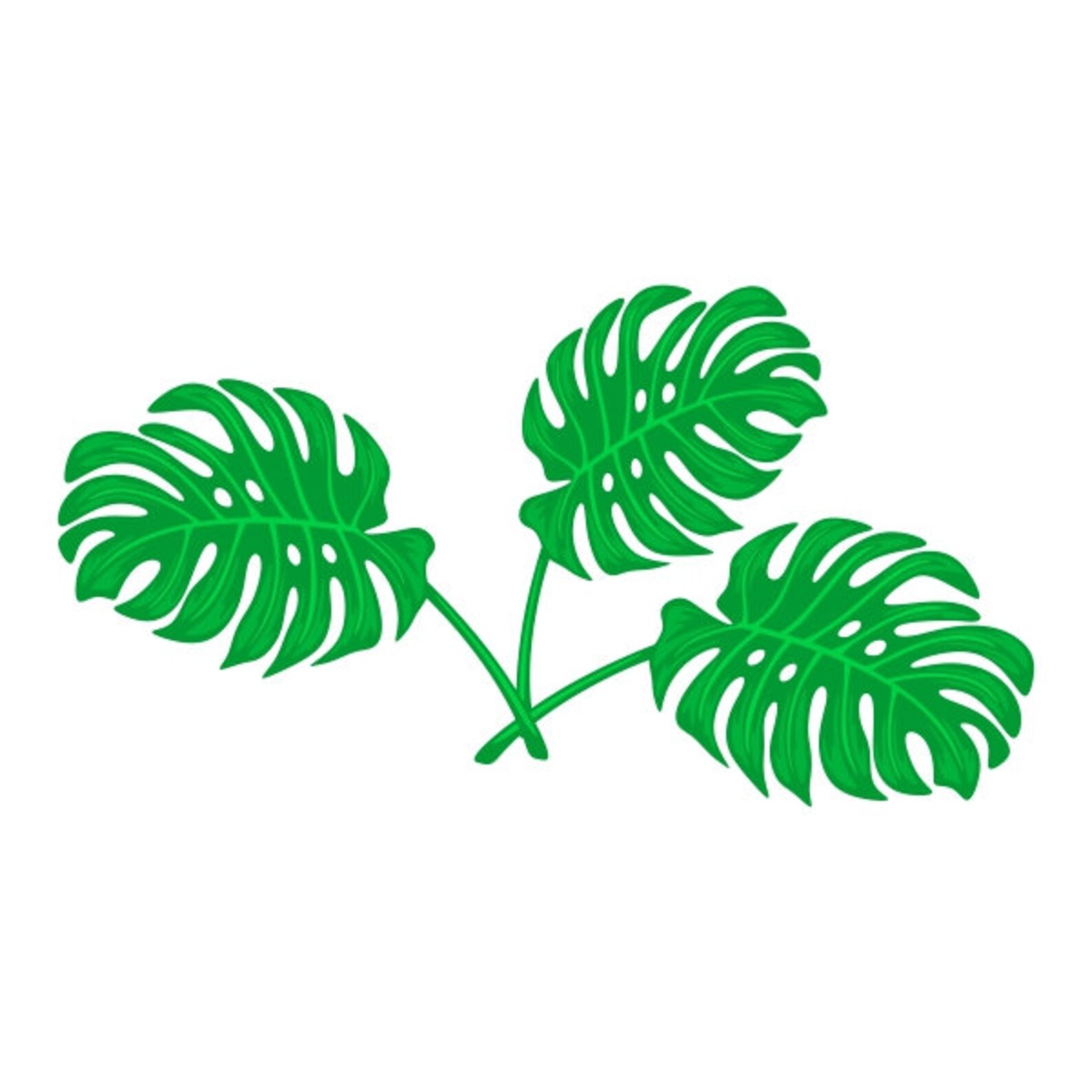 Monstera Leaves Cuttable Design PNG DXF SVG & eps File for | Etsy