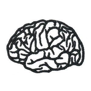 Human Brain Embroidery Design Instant Download - Etsy
