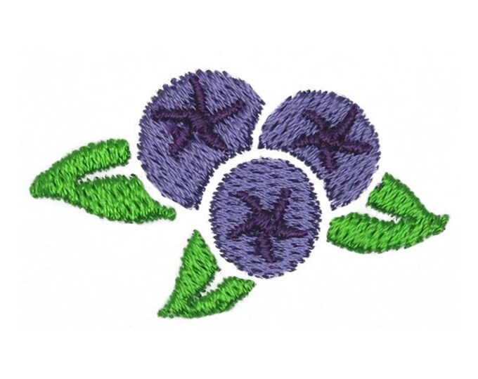 Digital, Blueberry, Machine Embroidery Design, 4 Sizes - Etsy Canada