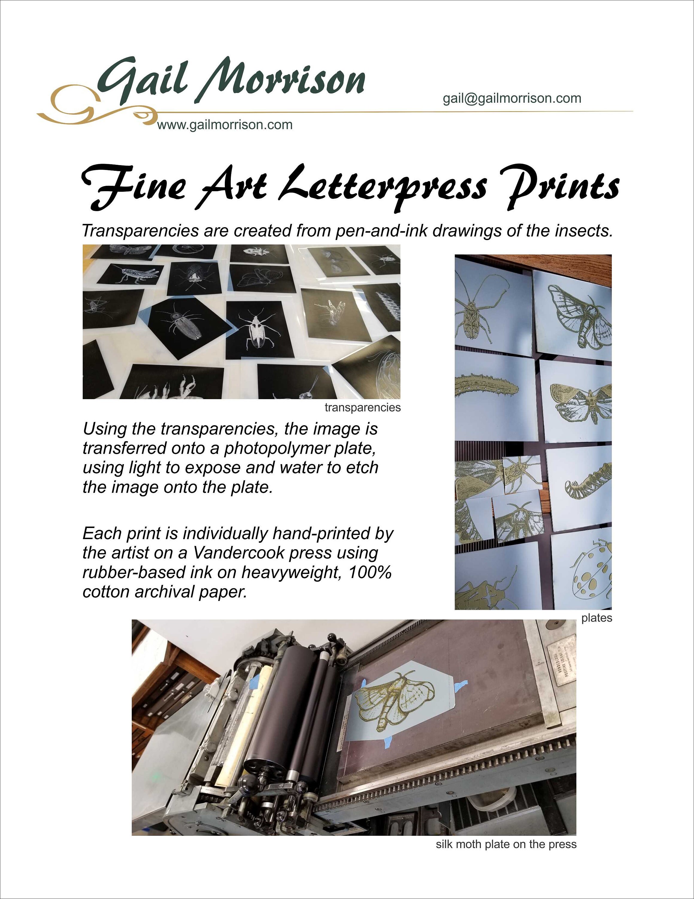 Spotted Lanternfly, Handcolored, Original Contemporary Fine Art ...