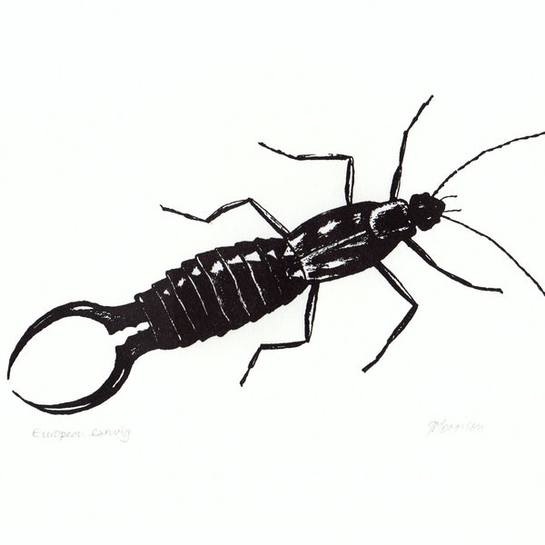 Letterpress Print - Etsy