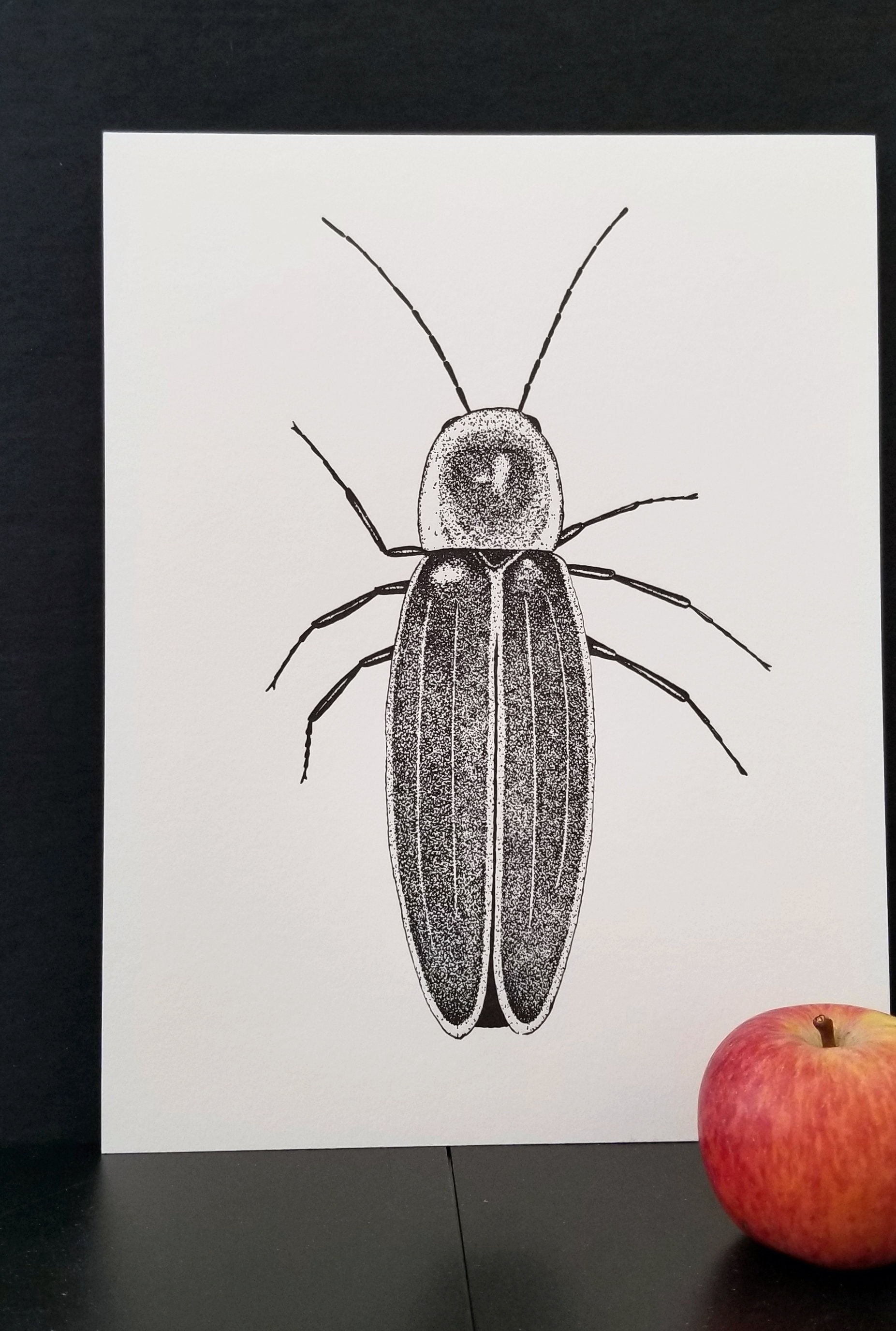 Firefly or Lightning Bug, Original Hand-pulled Contemporary Fine Art ...