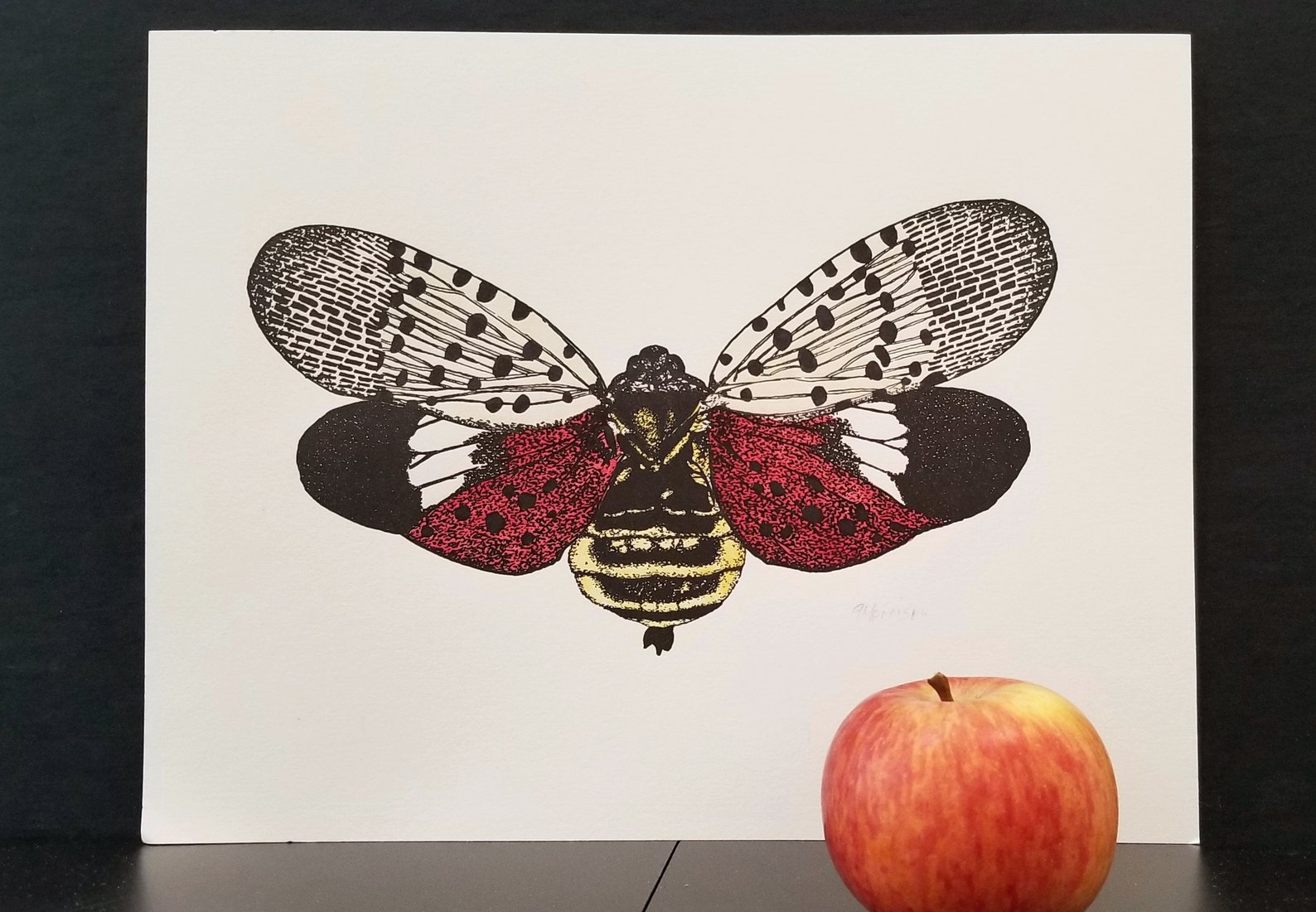 Spotted Lanternfly, Handcolored, Original Contemporary Fine Art ...