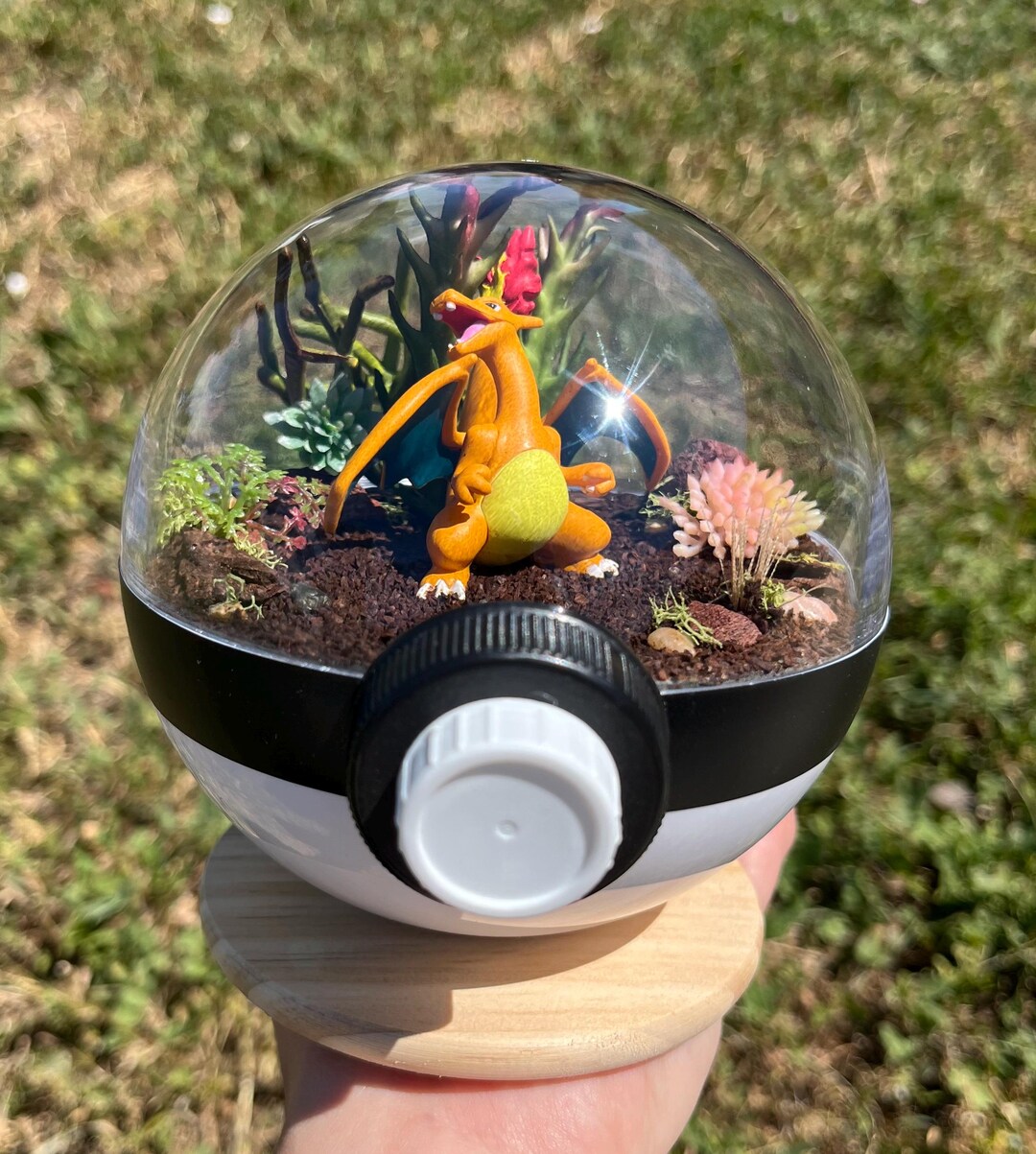 Charizard Terrarium Pink Flower - Etsy