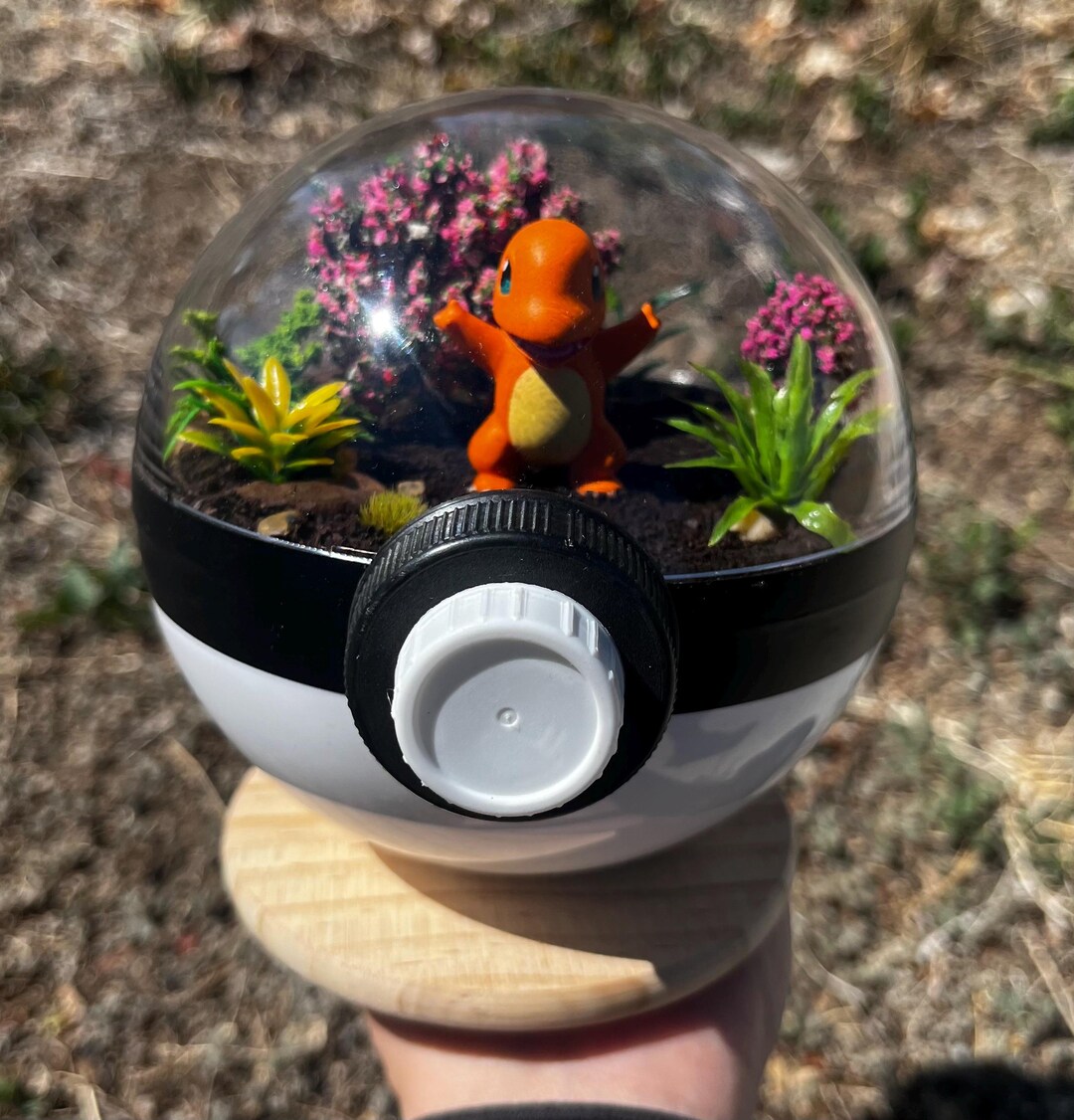 Charmander Sakura Terrarium - Etsy