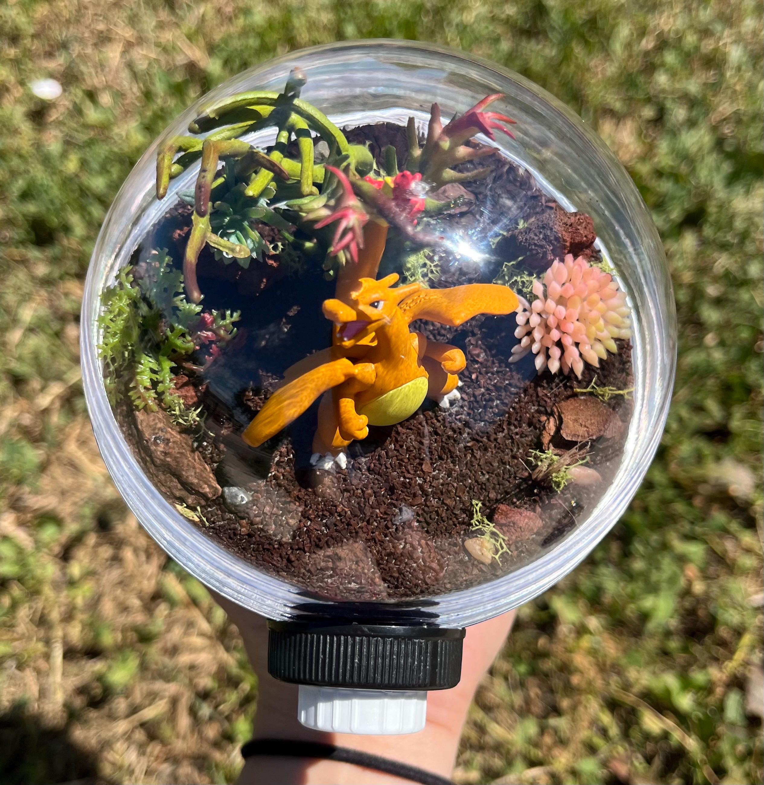 Charizard Terrarium Pink Flower - Etsy