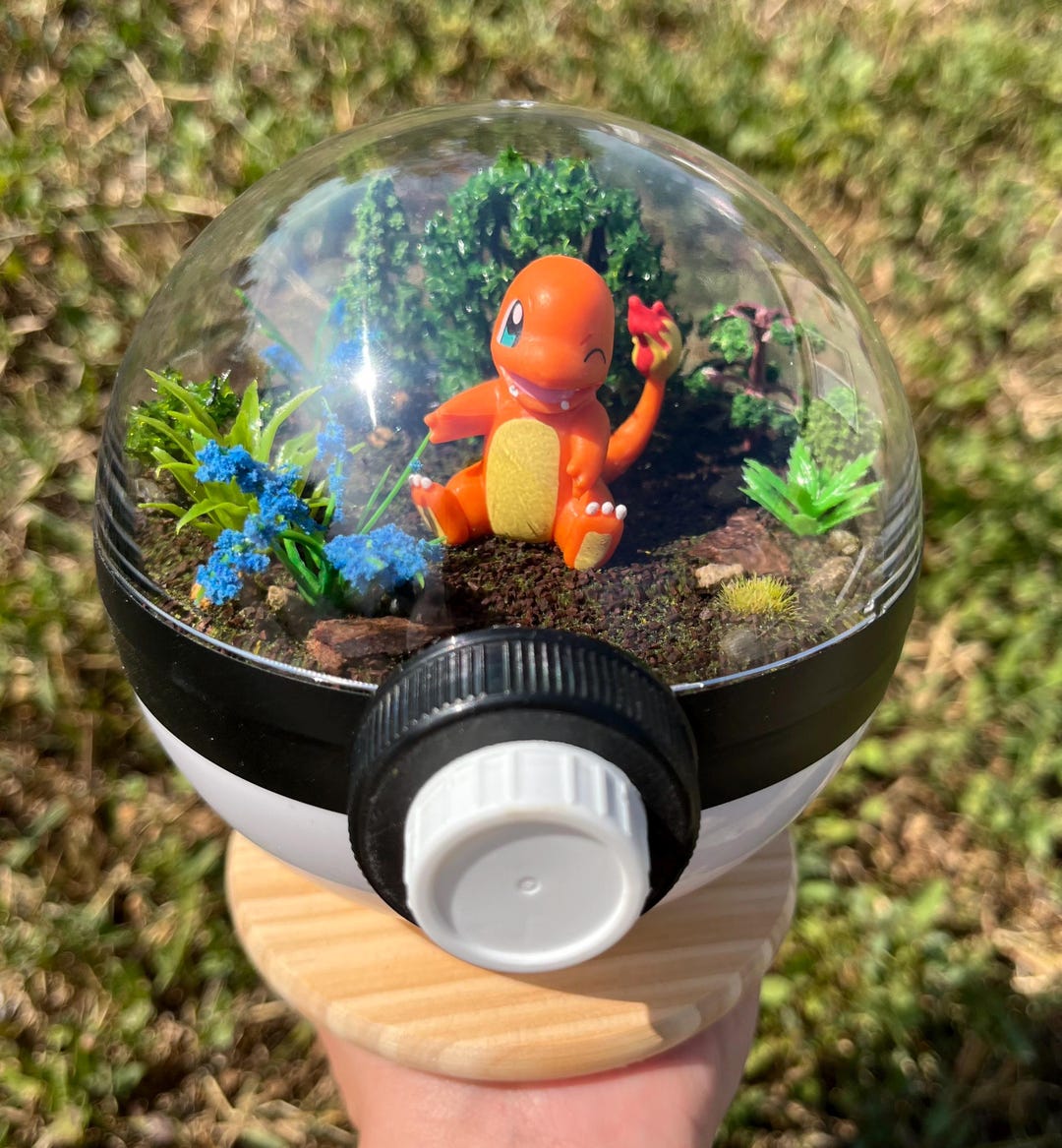 Winking Charmander Terrarium - Etsy