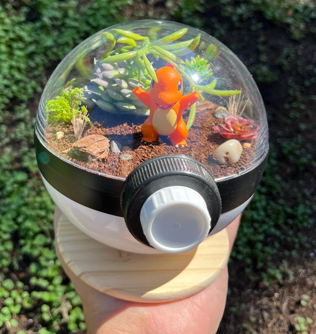 Charmander Terrarium - Etsy
