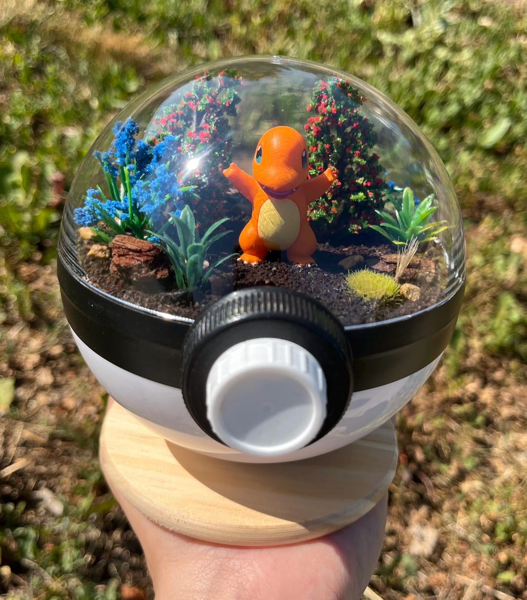 Charmander Terrarium Blue - Etsy