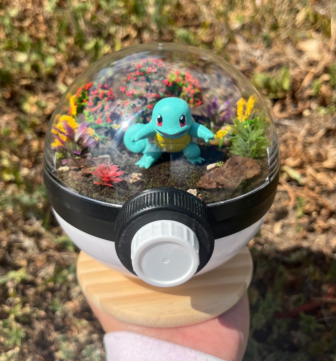 Squirtle Fall Terrarium - Etsy
