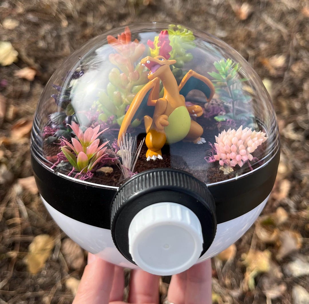 Charizard Lava Terrarium - Etsy