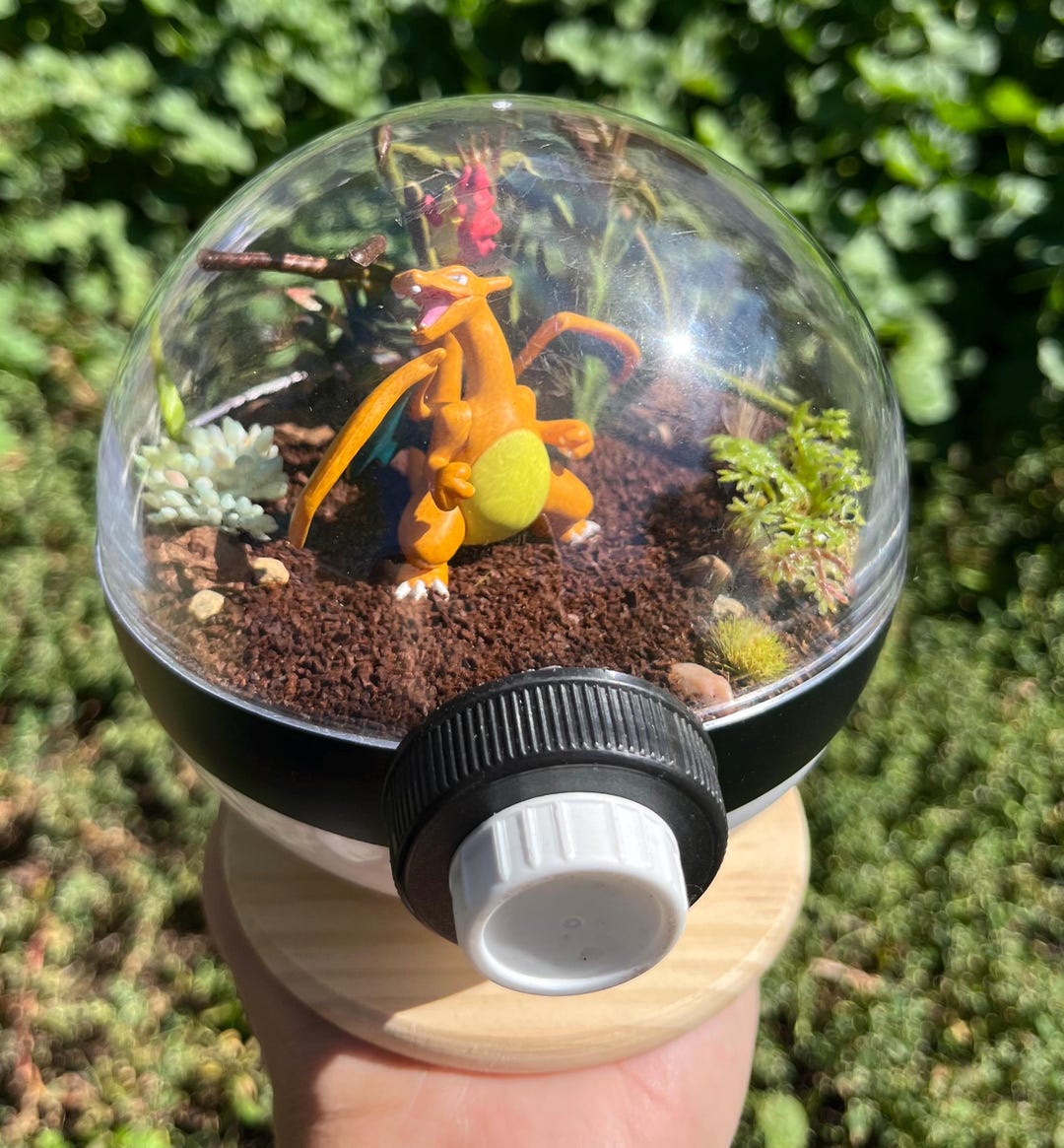 Charizard Terrarium - Etsy