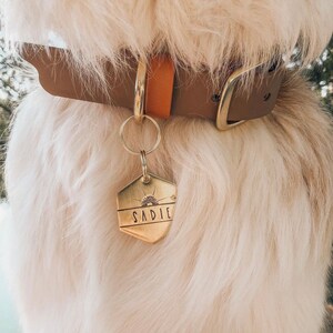Sun Dog Tag, Pet ID Tag, Personalized Dog Tag, Custom Dog Tag, Sunset ...