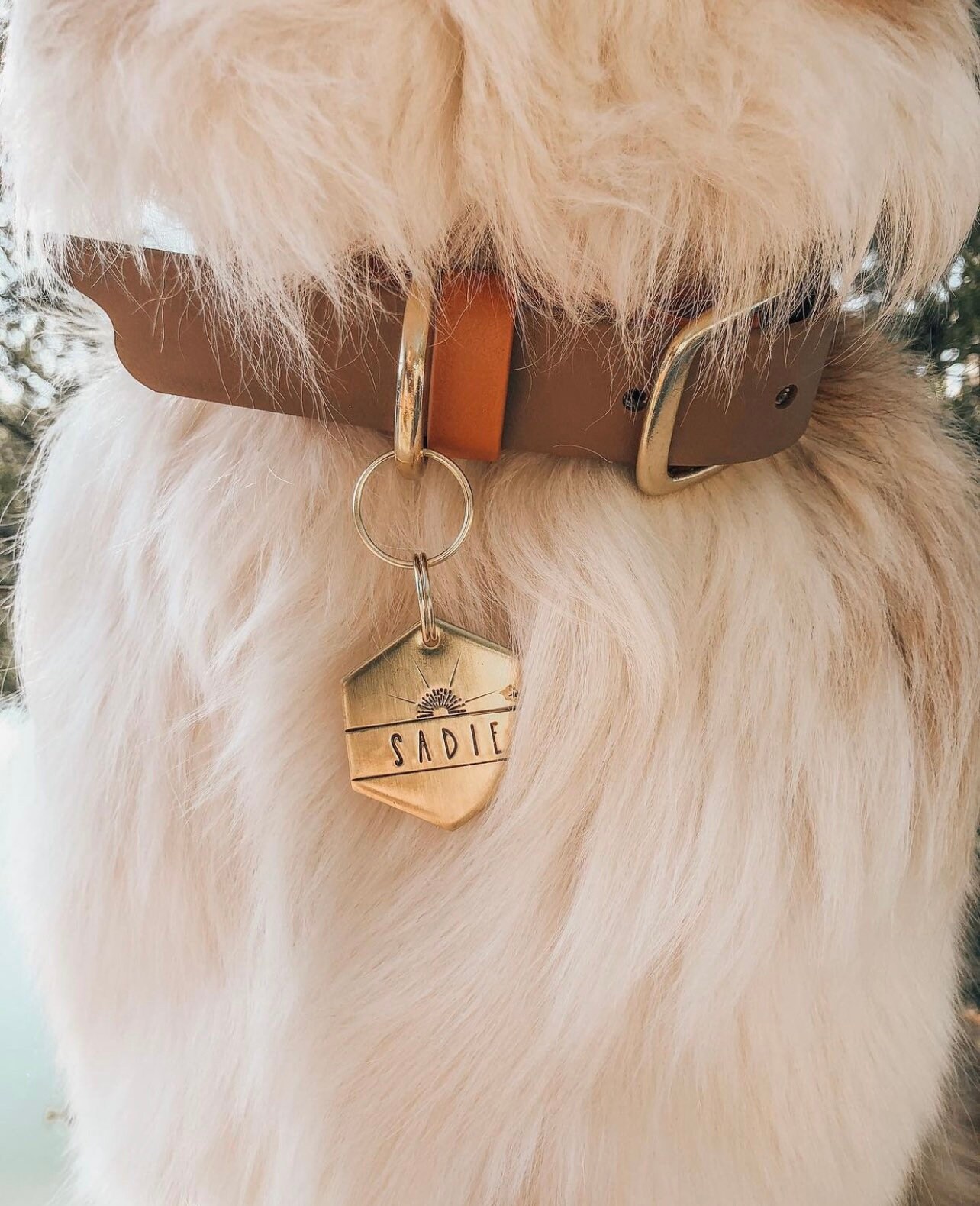 Sun Dog Tag Pet ID Tag Personalized Dog Tag Custom Dog Tag | Etsy
