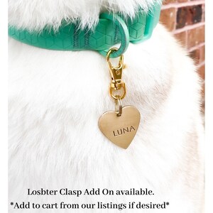 Moon Dog Tag, Dog Tag for Dogs, Pet ID Tag, Gold Dog Tag, Silver Dog ...