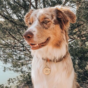 Sun Dog Tag, Pet ID Tag, Personalized Dog Tag, Custom Dog Tag, Sunset ...