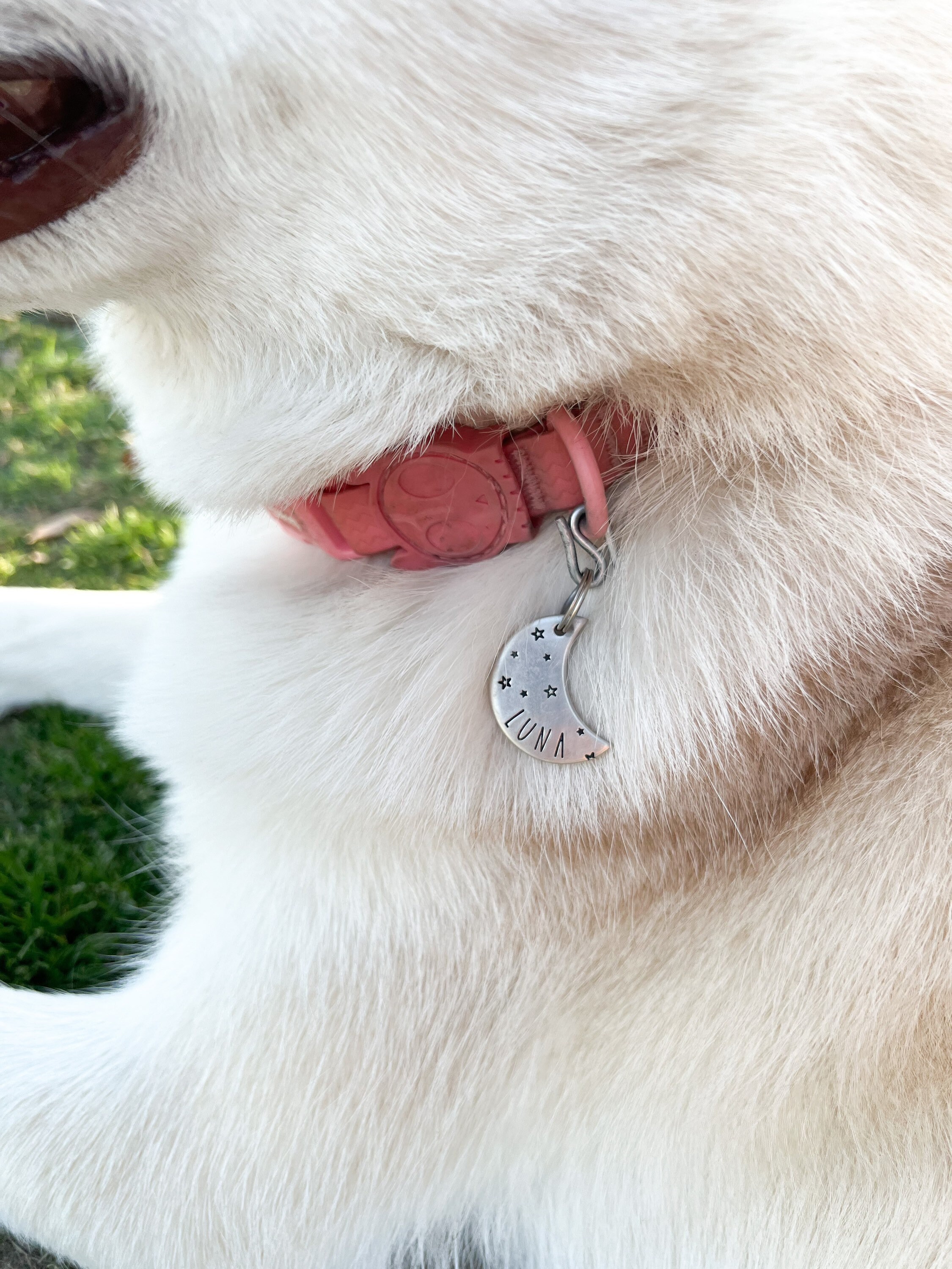 Moon Shaped Dog Tag Moon Shaped Gifts Pet ID Tag Gold Moon - Etsy