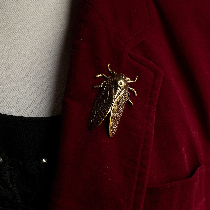 Cicada Brooch - Etsy