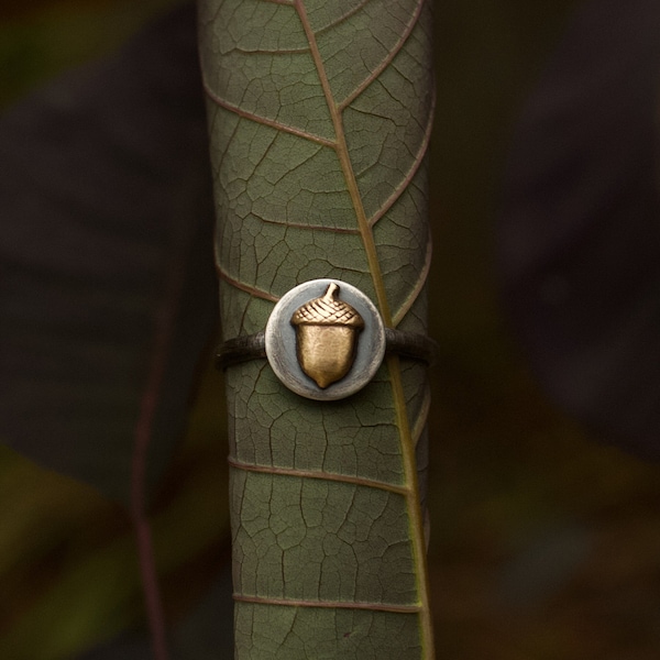Acorn Jewelry - Etsy