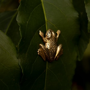 Frog Pin/frog Brooch/toad Pin/toad Brooch/witch Pin/amphibian Pin/brass ...