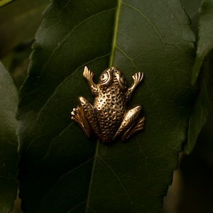 Frog Pin/frog Brooch/toad Pin/toad Brooch/witch Pin/amphibian Pin/brass ...