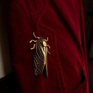 Cicada Brooch: Solid Brass Vintage Style Insect Pin - Etsy
