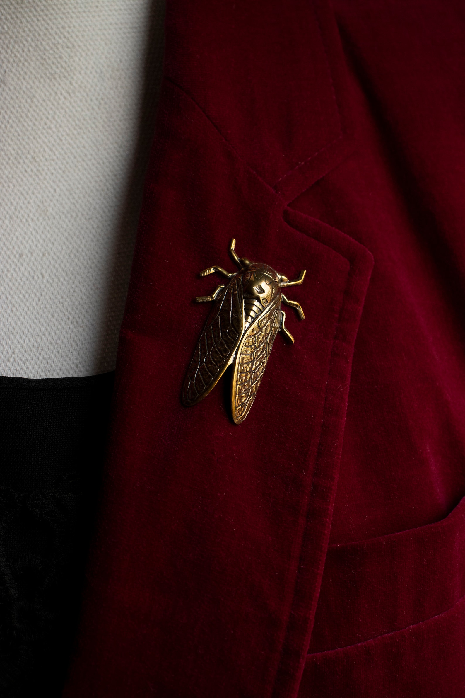 Cicada Brooch: Solid Brass Vintage Style Insect Pin - Etsy