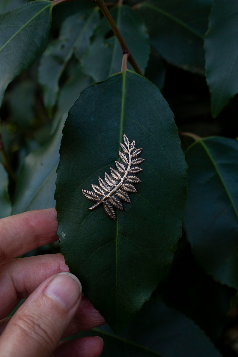 Fern Pin/fern Brooch/botanical Pin/brass Pin/brass | Etsy