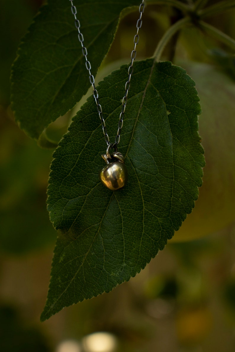 Golden Apple Necklace: Cast Solid Brass Fruit Pendant, Solid Sterling ...