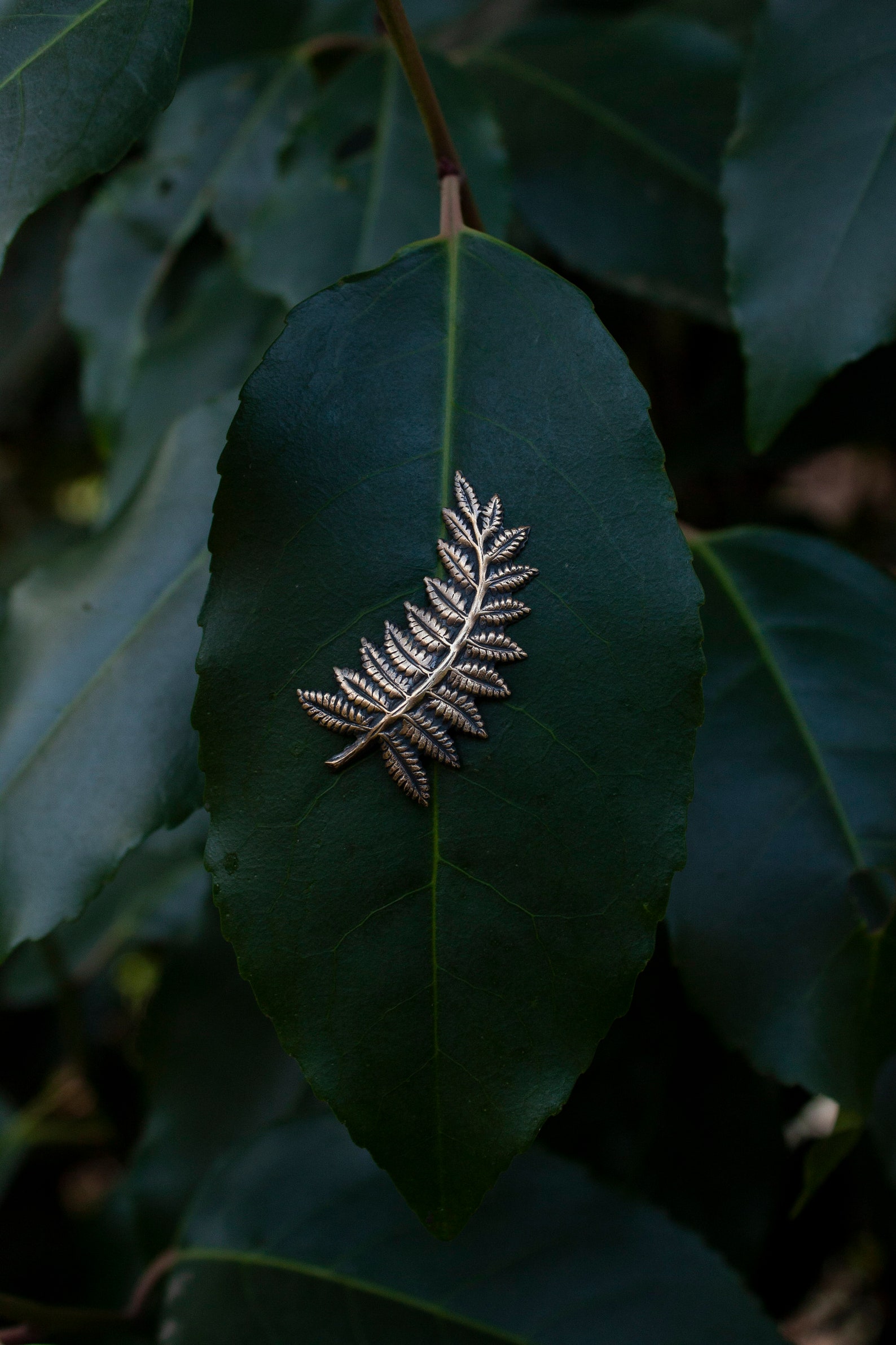 Fern Pin/fern Brooch/botanical Pin/brass Pin/brass - Etsy