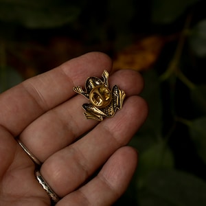 Frog Pin/frog Brooch/toad Pin/toad Brooch/witch Pin/amphibian Pin/brass ...