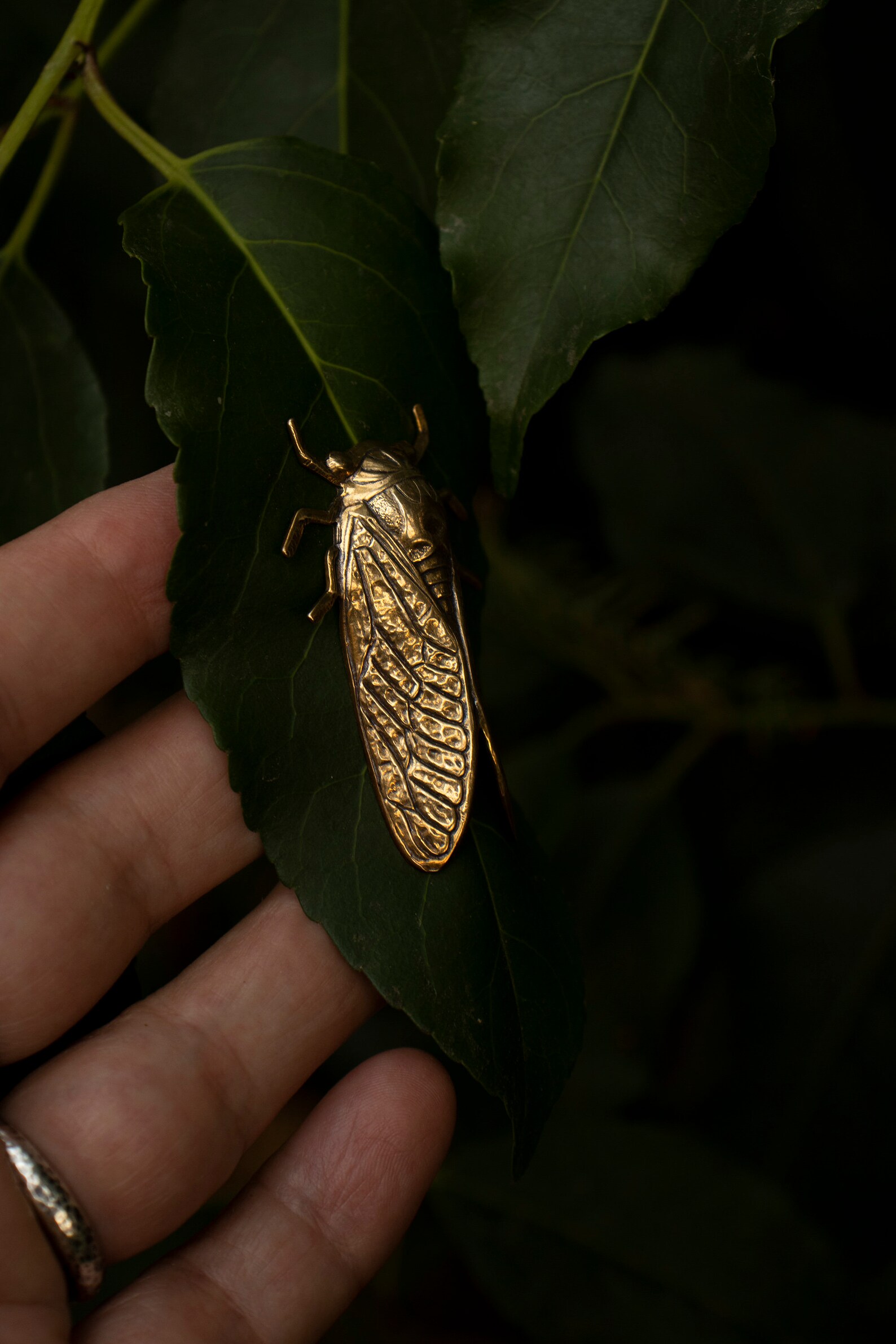 Cicada Brooch: Solid Brass Vintage Style Insect Pin - Etsy