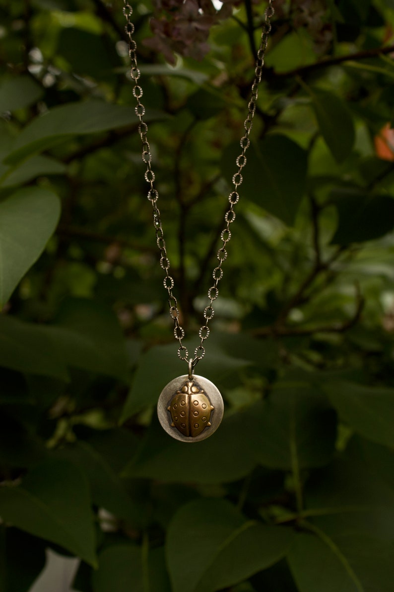 Ladybug Necklace/ladybug Pendant/ladybug Jewelry/ladybird - Etsy