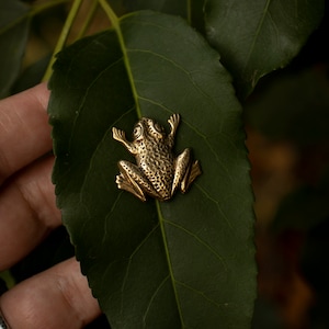 Frog Pin/frog Brooch/toad Pin/toad Brooch/witch Pin/amphibian Pin/brass ...