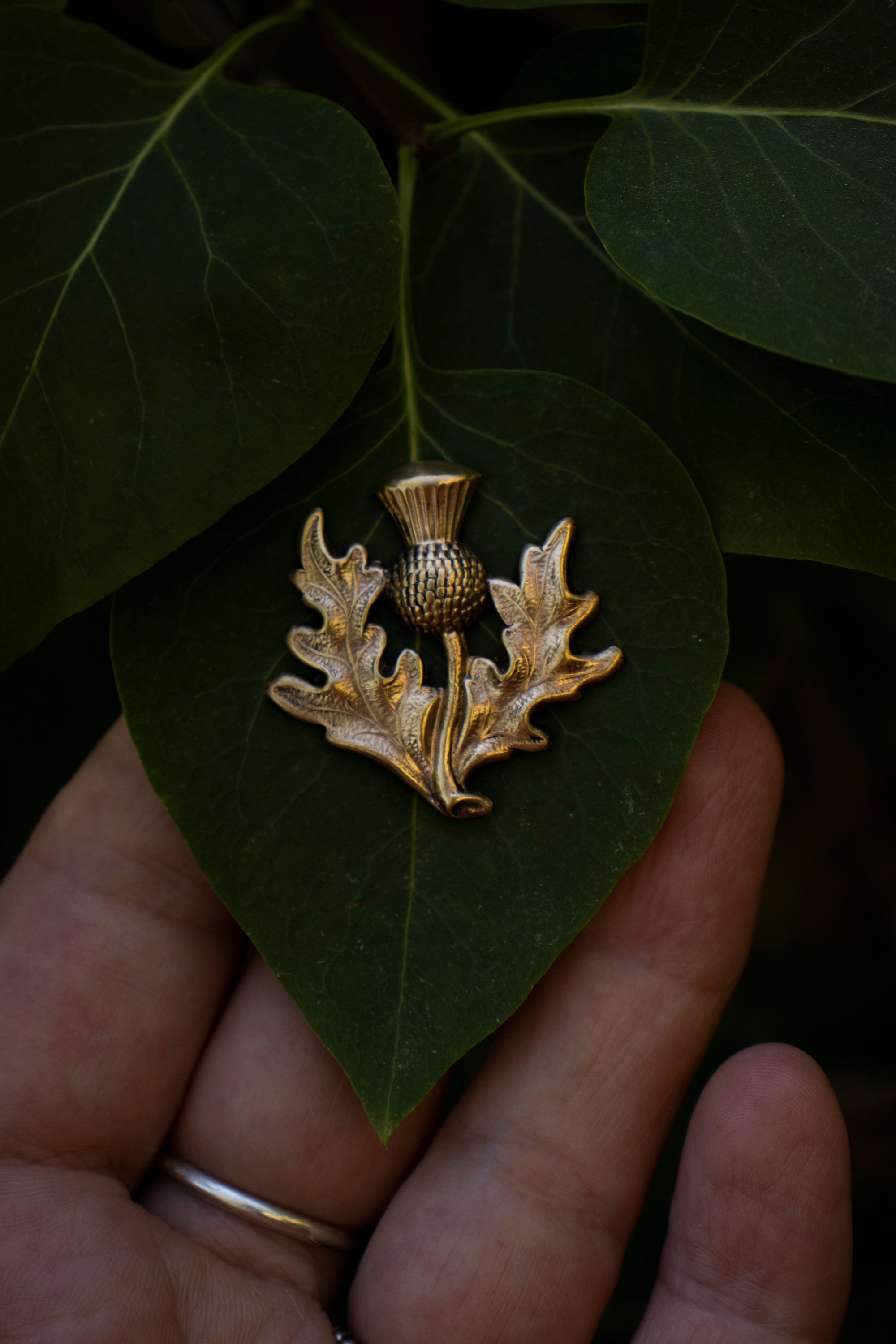 Thistle Pin: Solid Brass Scottish Lapel Brooch - Etsy