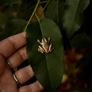 Frog Pin/frog Brooch/toad Pin/toad Brooch/witch Pin/amphibian Pin/brass ...