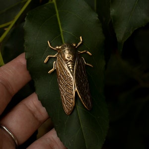 Cicada Brooch: Solid Brass Vintage Style Insect Pin - Etsy