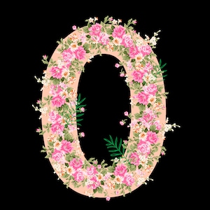Floral Alphabet Letters & Number Font PNG Sublimation Designs Download ...