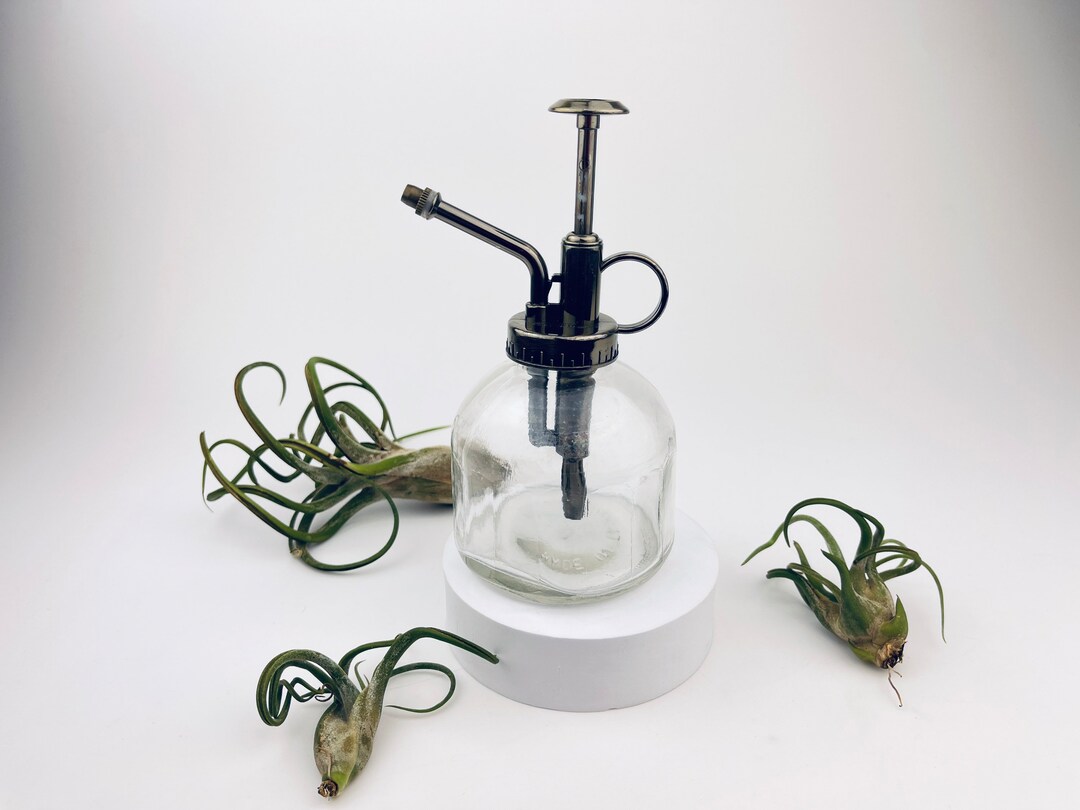 Vintage Silver Glass Plant Atomizer/spritzer/mister Made in Taiwan - Etsy