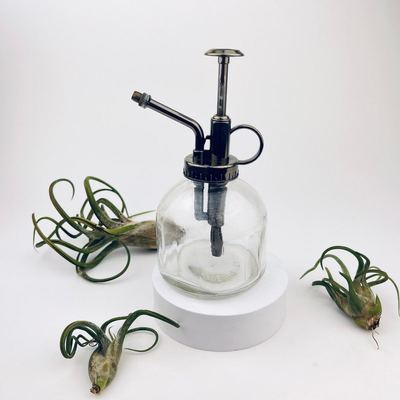 Plant Mister - Etsy