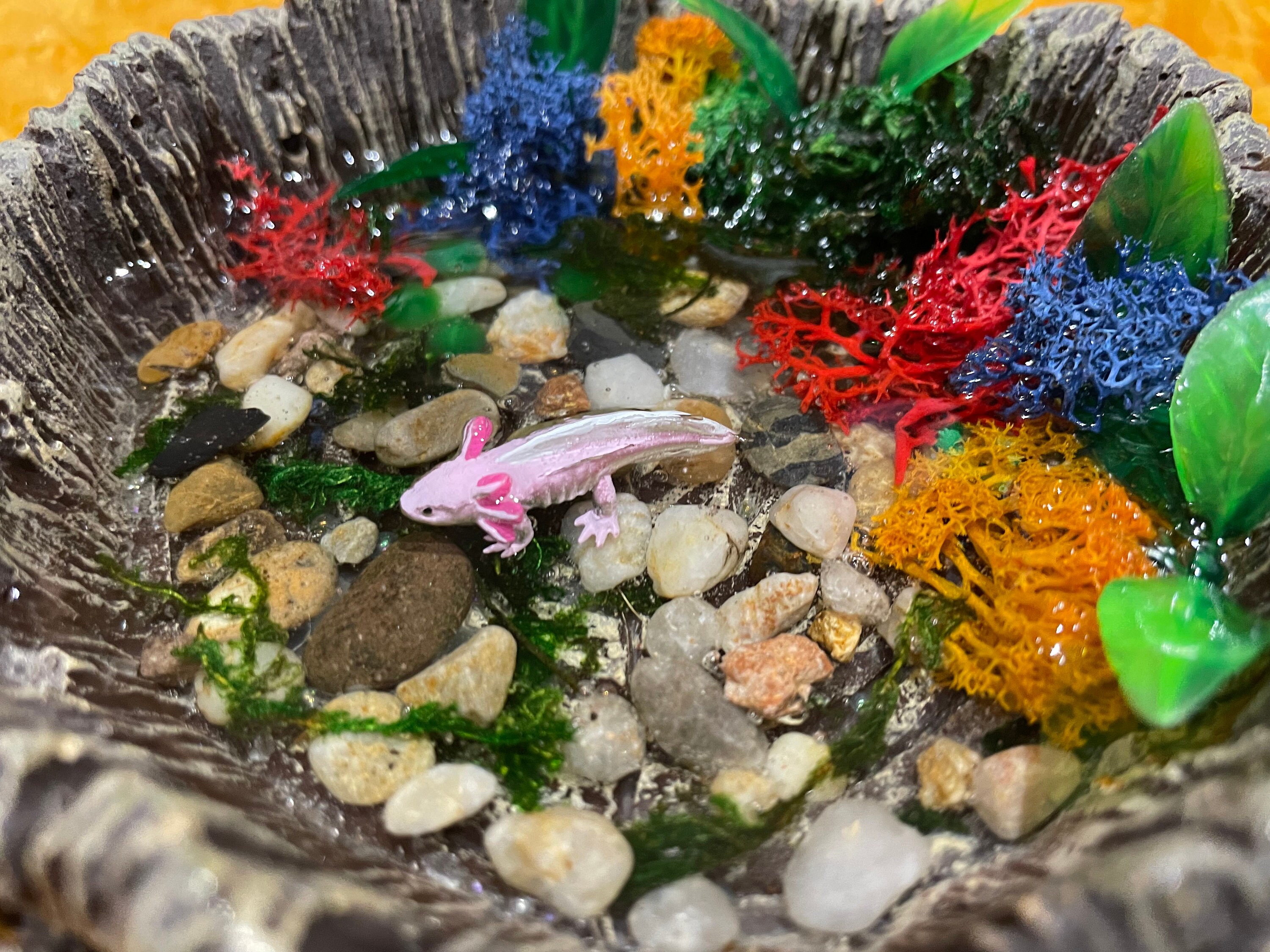 Axolotl Diorama - Etsy