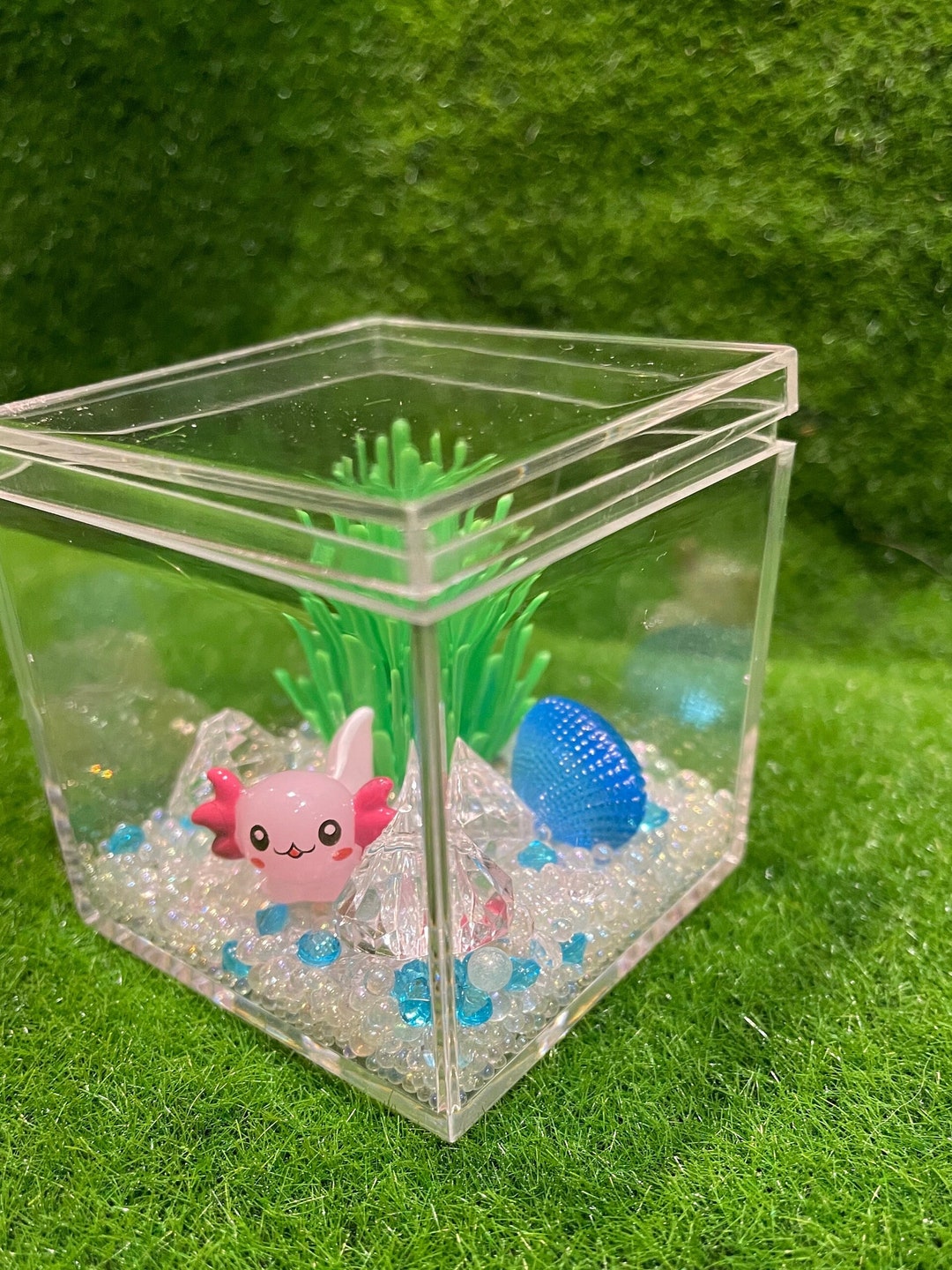 Axolotl DIY Fish Tank Kit - Option for Slime - Two Sizes - Etsy