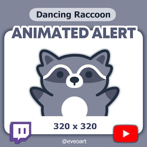 Mapache Cohete Gif Animado