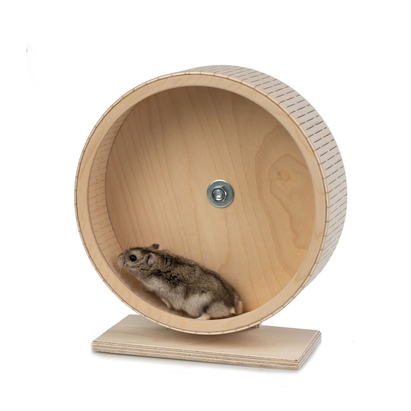 Wooden Hamster Wheel - Etsy