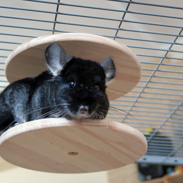 Chinchilla Cage Accessories - Etsy